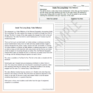 Life Cycles: Inside the Living Body- Video Reflection Activity | Made ...