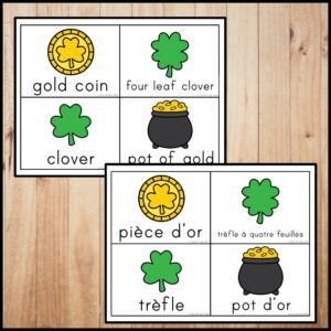 FREE ST. PATRICK’S DAY Themed Vocabulary Cards | French Version ...