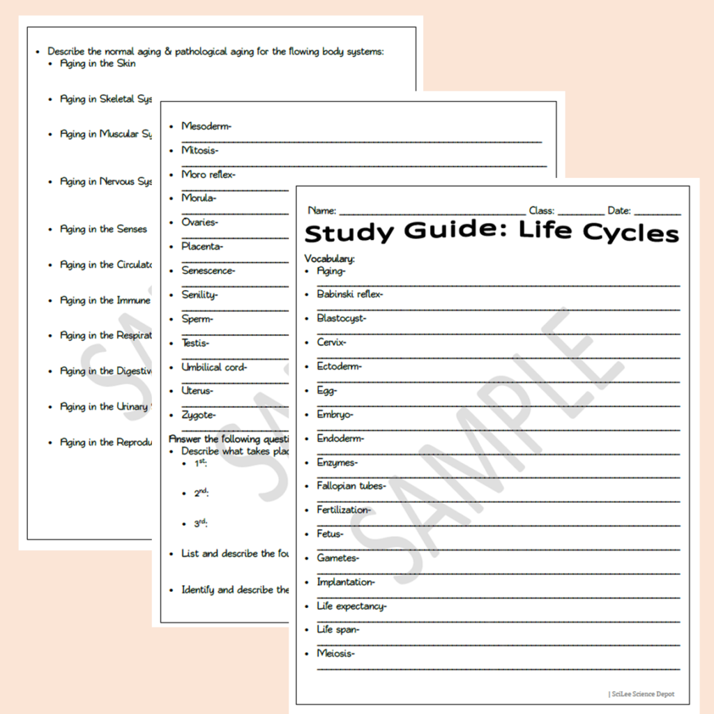 Life Cycles Review Packet: Justpardy Game + Study Guide | Made By Teachers