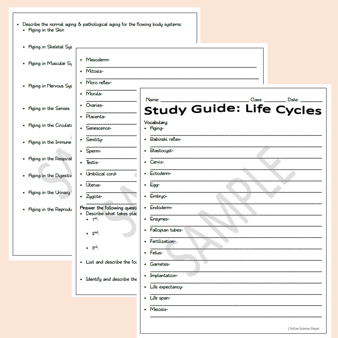 Life Cycles Review Packet: Justpardy Game + Study Guide | Made By Teachers