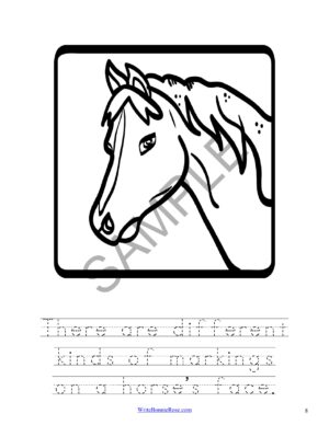 Learning About Horses Coloring Book-Level B | Made By Teachers