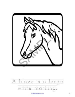Learning About Horses Coloring Book-Level B | Made By Teachers
