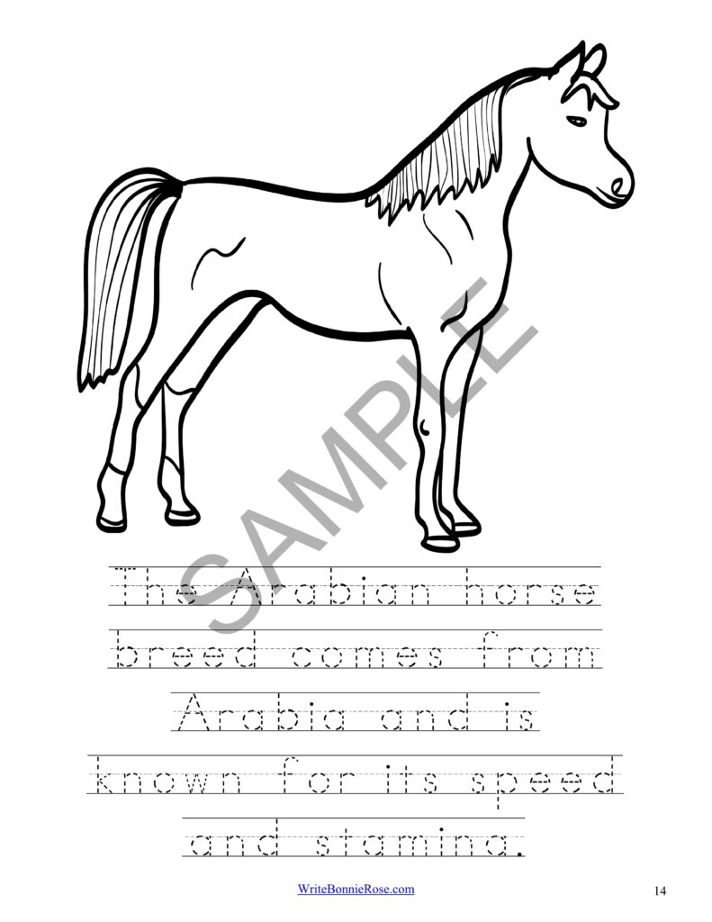 Learning About Horses Coloring Book-Level B | Made By Teachers