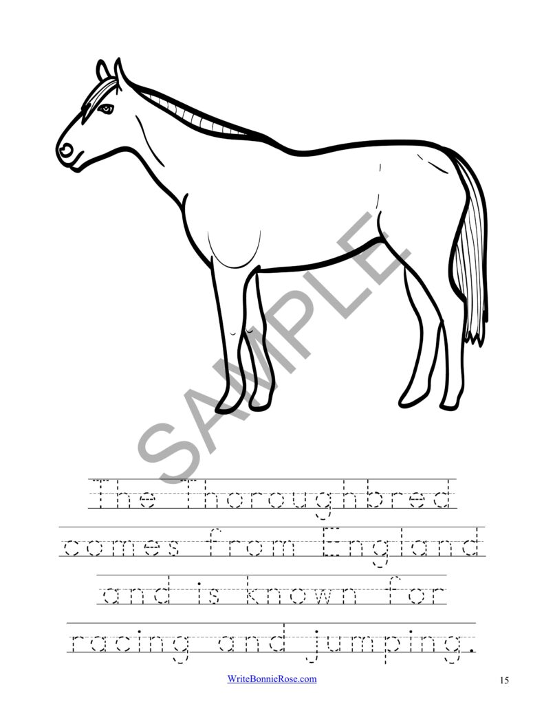 Learning About Horses Coloring Book-Level B | Made By Teachers