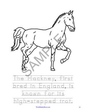Learning About Horses Coloring Book-Level B | Made By Teachers