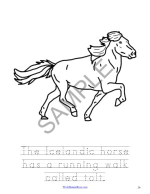 Learning About Horses Coloring Book-Level B | Made By Teachers
