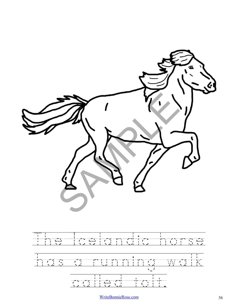 Learning About Horses Coloring Book-Level B | Made By Teachers