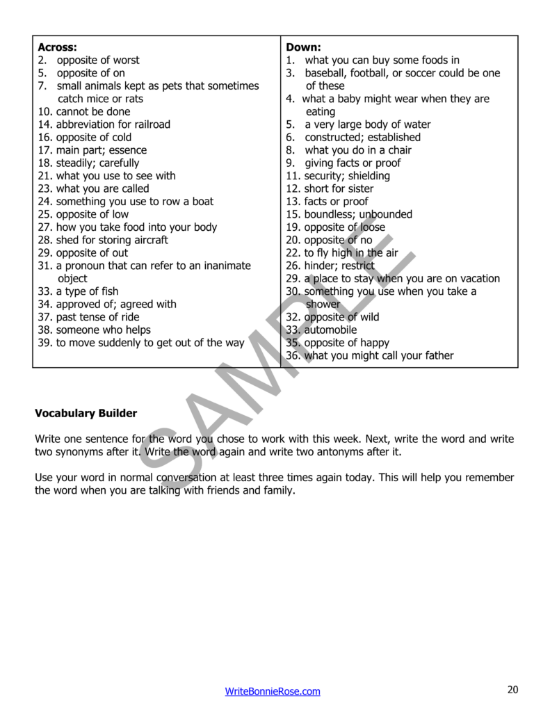 Fun With Spelling: Grade 6 | Made By Teachers