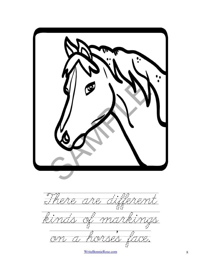 Learning About Horses Coloring Book-Level C | Made By Teachers