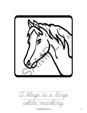Learning About Horses Coloring Book-Level C | Made By Teachers