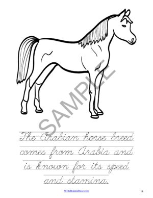 Learning About Horses Coloring Book-Level C | Made By Teachers