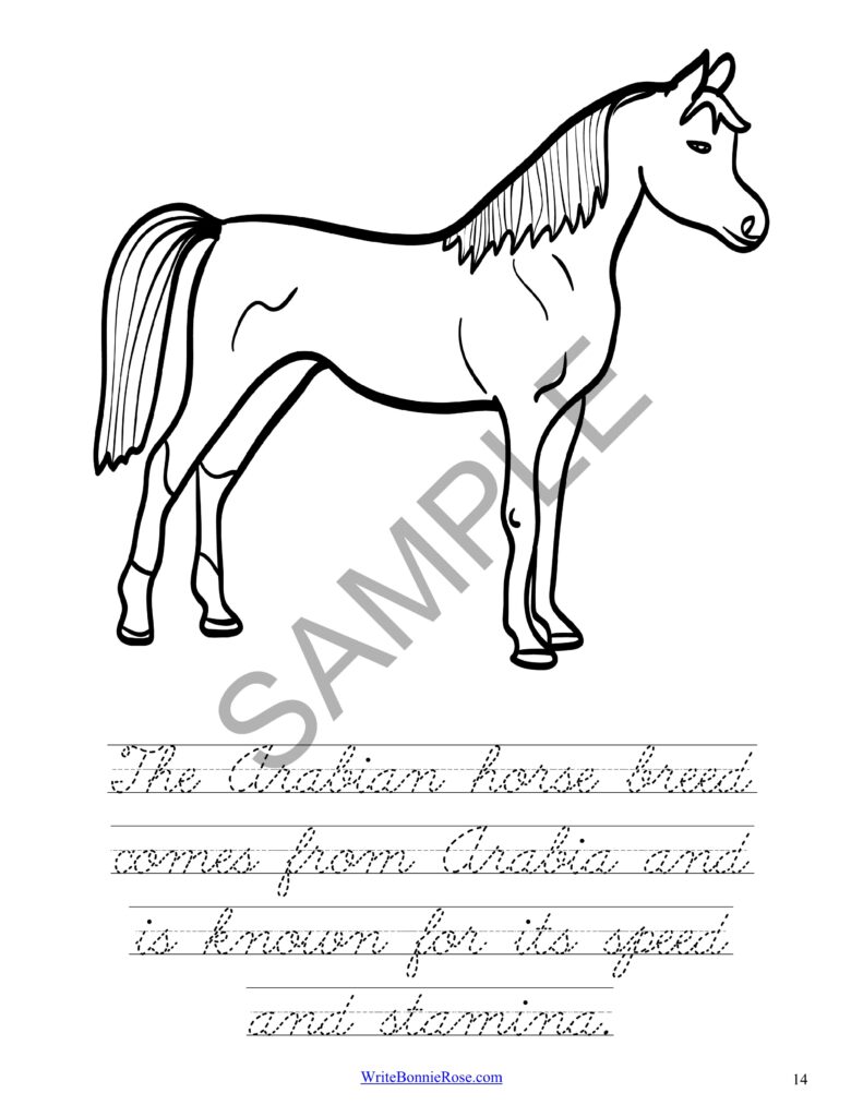 Learning About Horses Coloring Book-Level C | Made By Teachers