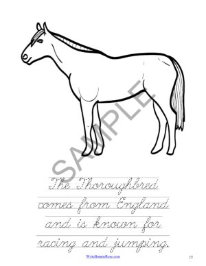 Learning About Horses Coloring Book-Level C | Made By Teachers
