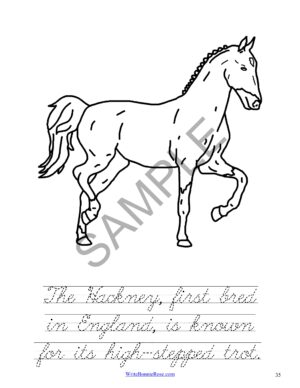 Learning About Horses Coloring Book-Level C | Made By Teachers
