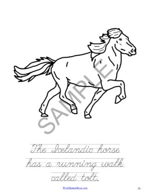 Learning About Horses Coloring Book-Level C | Made By Teachers