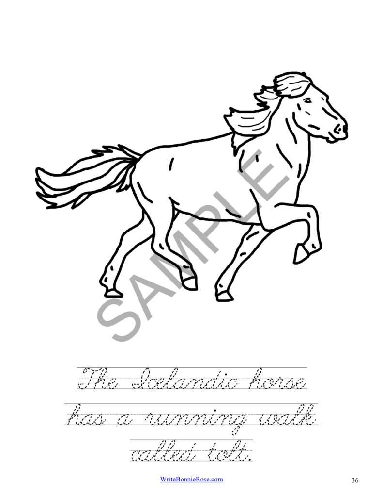 Learning About Horses Coloring Book-Level C | Made By Teachers