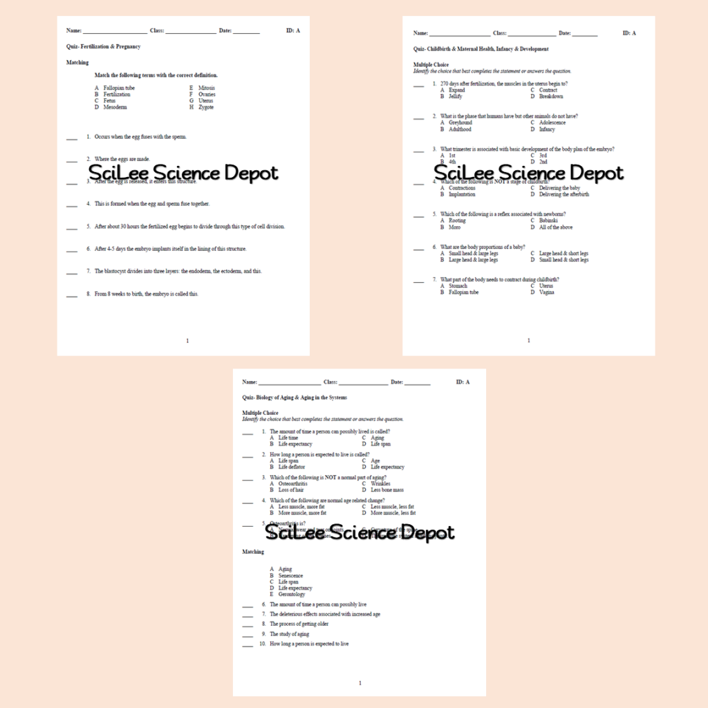 Life Cycles Assessment Packet | Made By Teachers