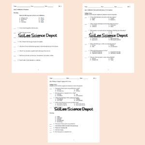 Life Cycles Assessment Packet | Made By Teachers