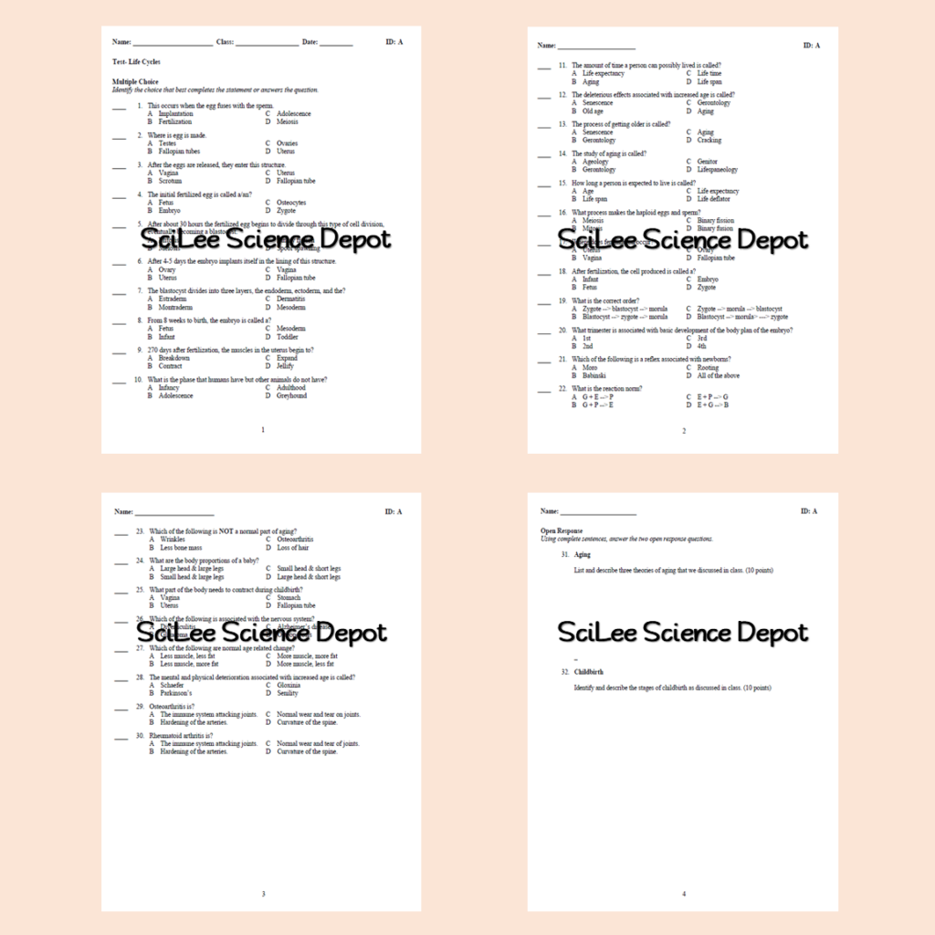 Life Cycles Assessment Packet | Made By Teachers