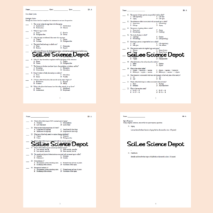Life Cycles Assessment Packet | Made By Teachers