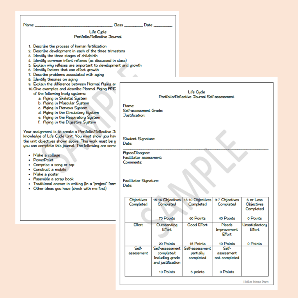 Life Cycles Assessment Packet | Made By Teachers