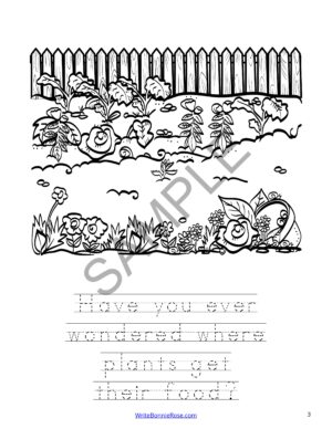 Learning About Photosynthesis Coloring Book-Level B | Made By Teachers