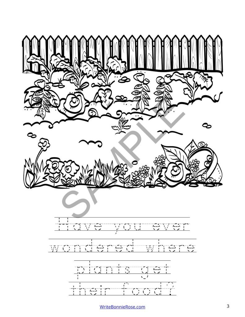 Learning About Photosynthesis Coloring Book-Level B | Made By Teachers