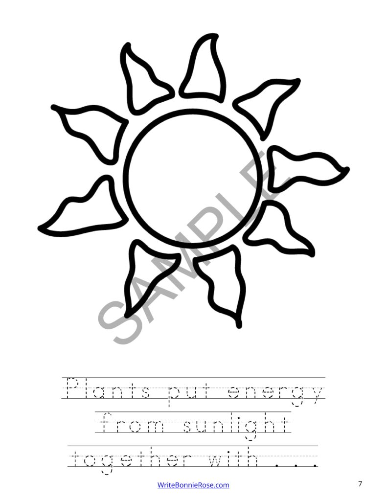 Learning About Photosynthesis Coloring Book-Level B | Made By Teachers