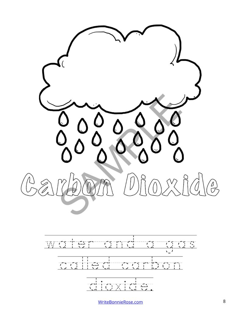 Learning About Photosynthesis Coloring Book-Level B | Made By Teachers