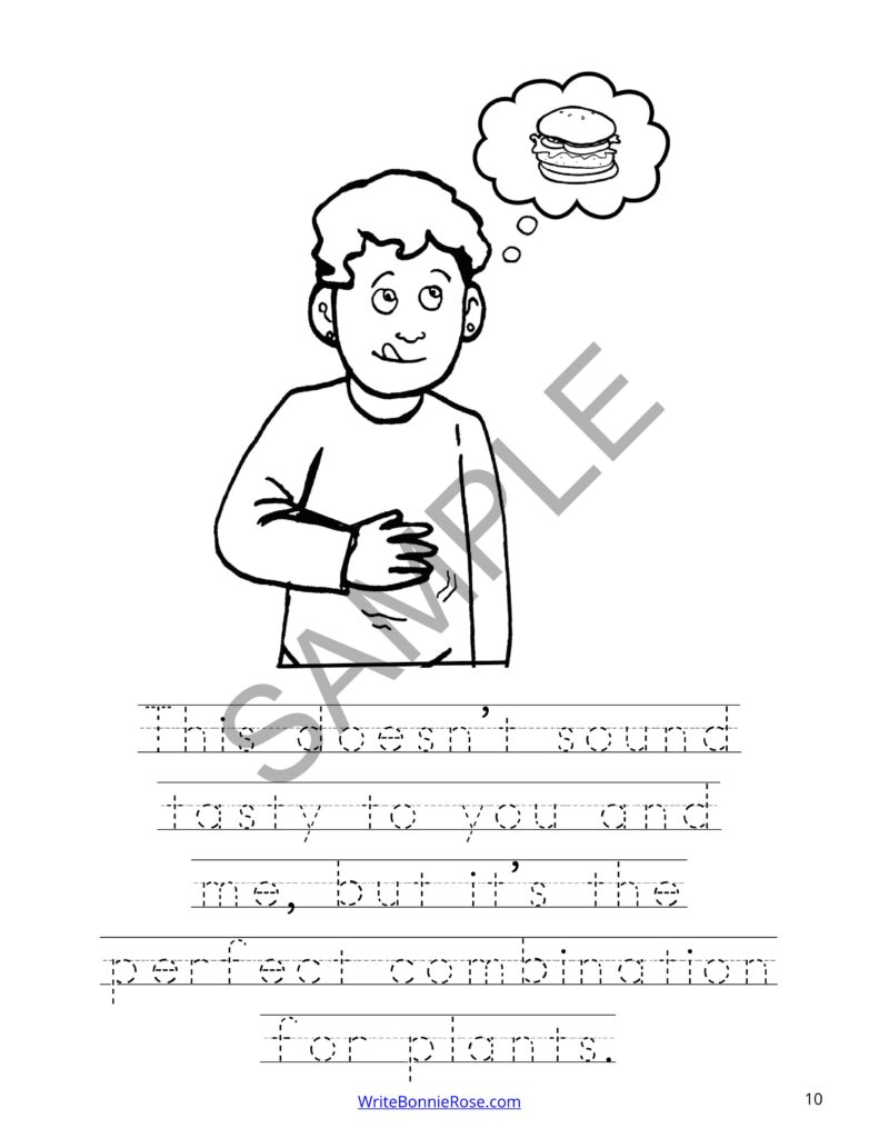 Learning About Photosynthesis Coloring Book-Level B | Made By Teachers