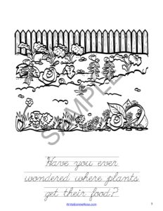 Learning About Photosynthesis Coloring Book-Level C | Made By Teachers