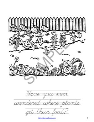 Learning About Photosynthesis Coloring Book-Level C | Made By Teachers