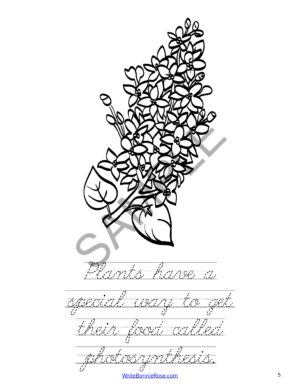 Learning About Photosynthesis Coloring Book-Level C | Made By Teachers