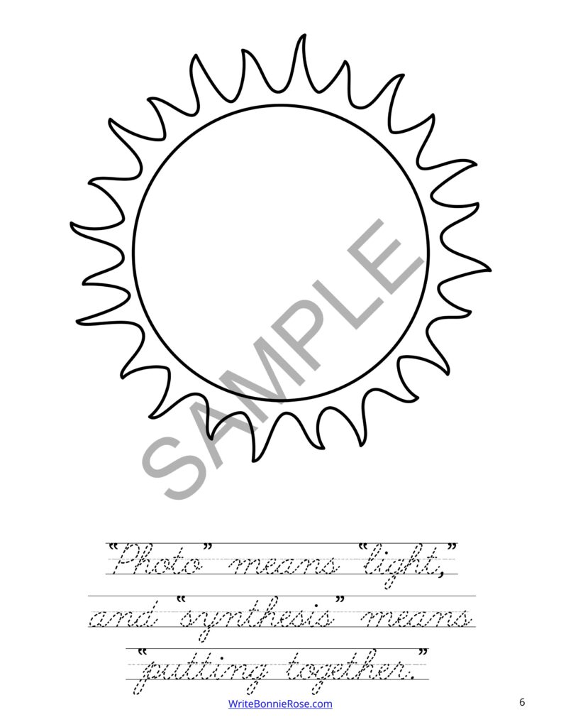Learning About Photosynthesis Coloring Book-Level C | Made By Teachers