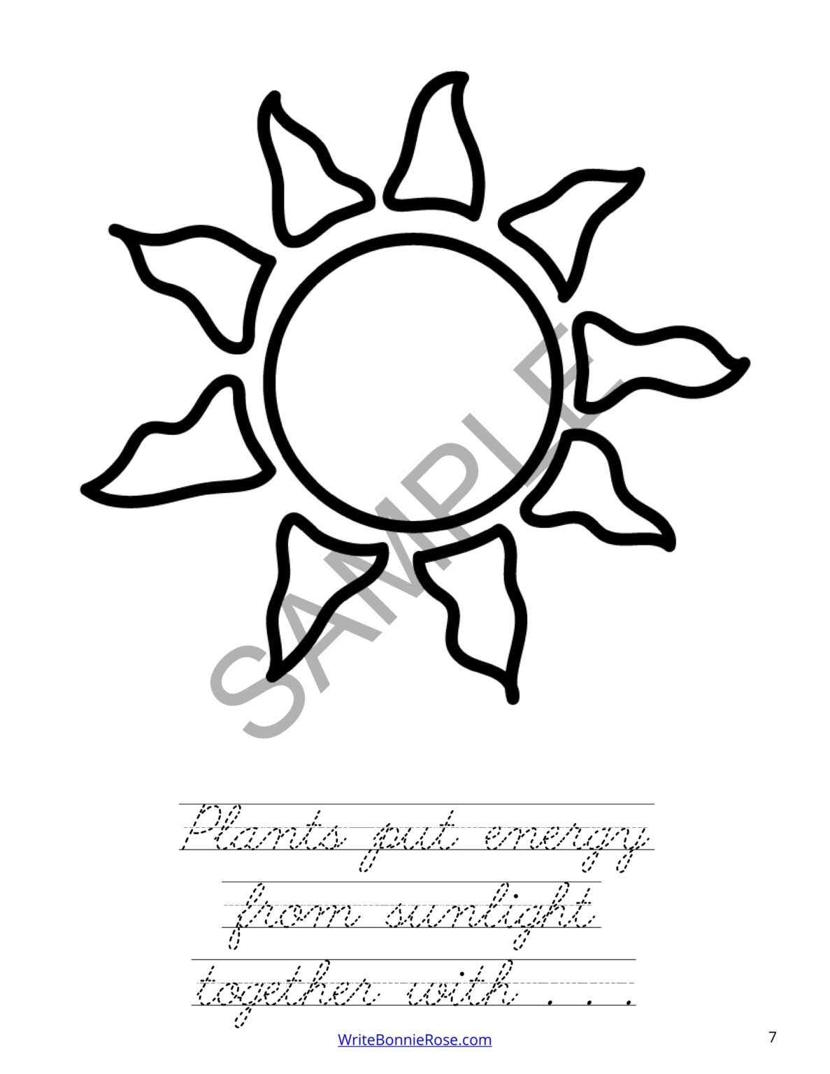 Learning About Photosynthesis Coloring Book-Level C | Made By Teachers