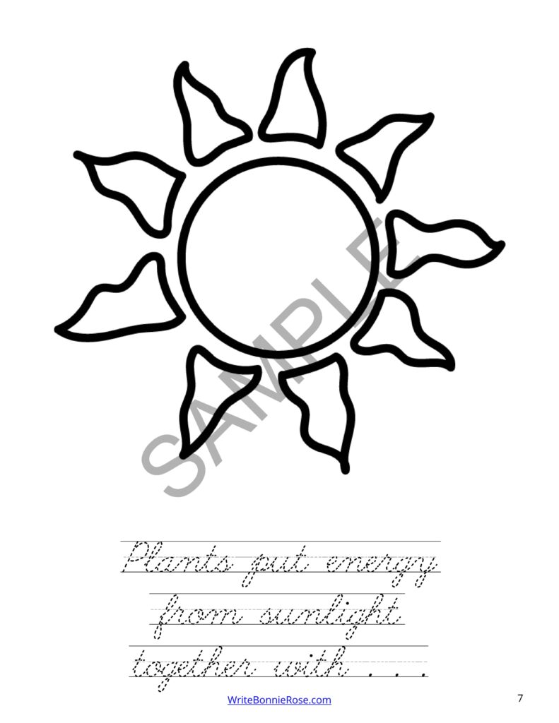 Learning About Photosynthesis Coloring Book-Level C | Made By Teachers