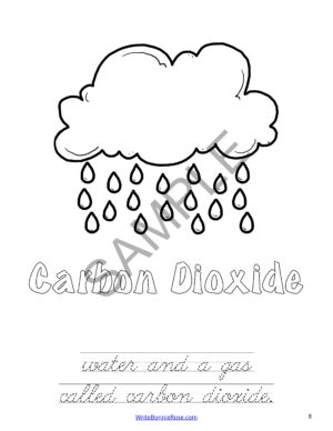 Learning About Photosynthesis Coloring Book-Level C | Made By Teachers