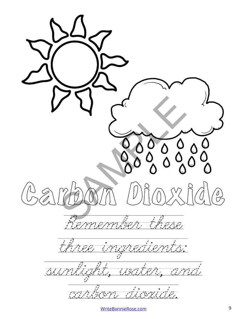 Learning About Photosynthesis Coloring Book-Level C | Made By Teachers