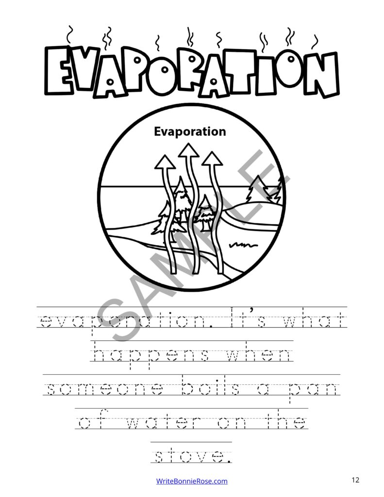 Learning About the Water Cycle Coloring Book-Level B | Made By Teachers