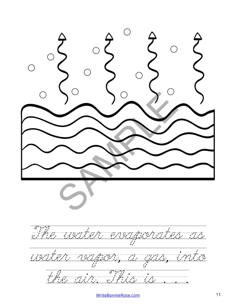 Learning About the Water Cycle Coloring Book-Level C | Made By Teachers
