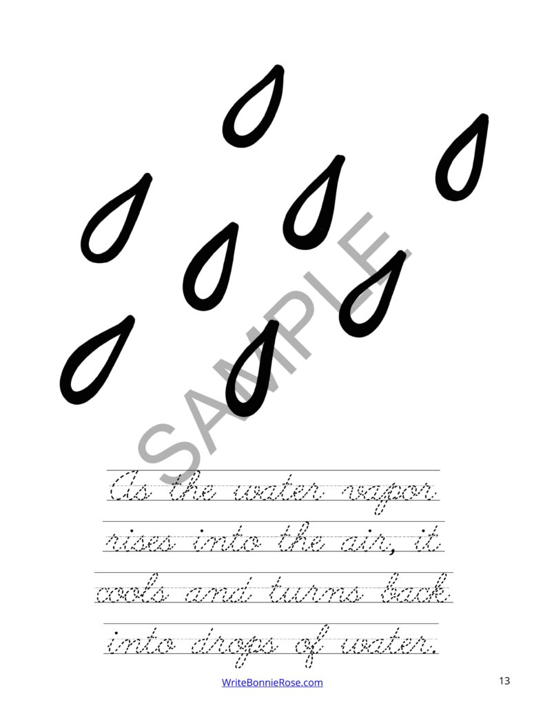 Learning About the Water Cycle Coloring Book-Level C | Made By Teachers