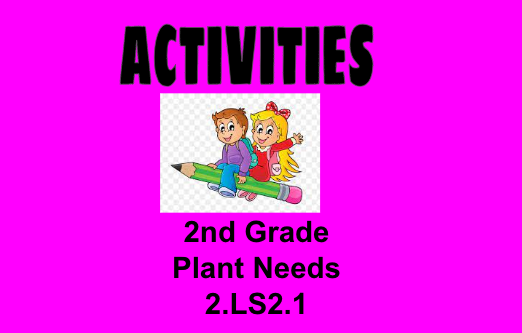 2nd Grade Science Plant Needs 2.LS2.1 Activities | Made By Teachers