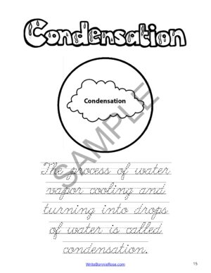 Learning About the Water Cycle Coloring Book-Level C | Made By Teachers