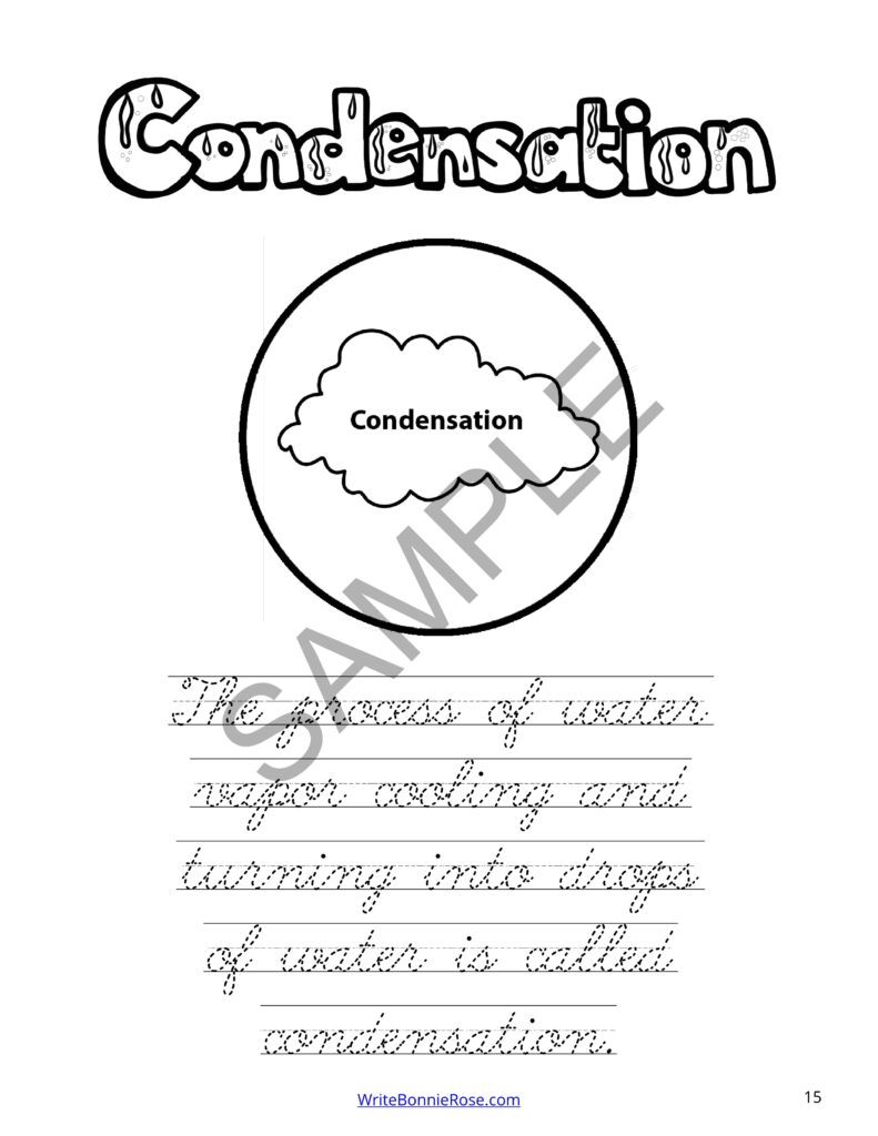 Learning About the Water Cycle Coloring Book-Level C | Made By Teachers