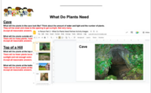2nd Grade Science Plant Needs 2.LS2.1 Activities | Made By Teachers