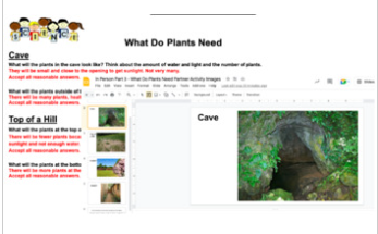 2nd Grade Science Plant Needs 2.LS2.1 Activities | Made By Teachers