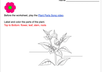 2nd Grade Science Plant Needs 2.LS2.1 Activities | Made By Teachers
