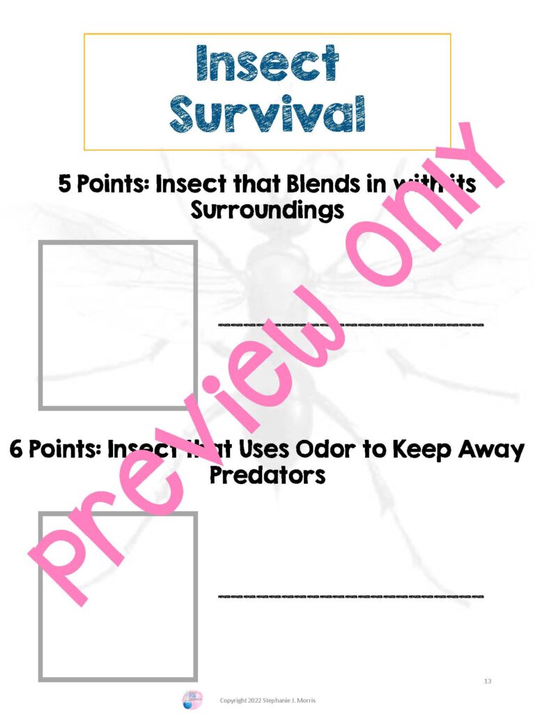 Insect Collection Alternative | Made By Teachers