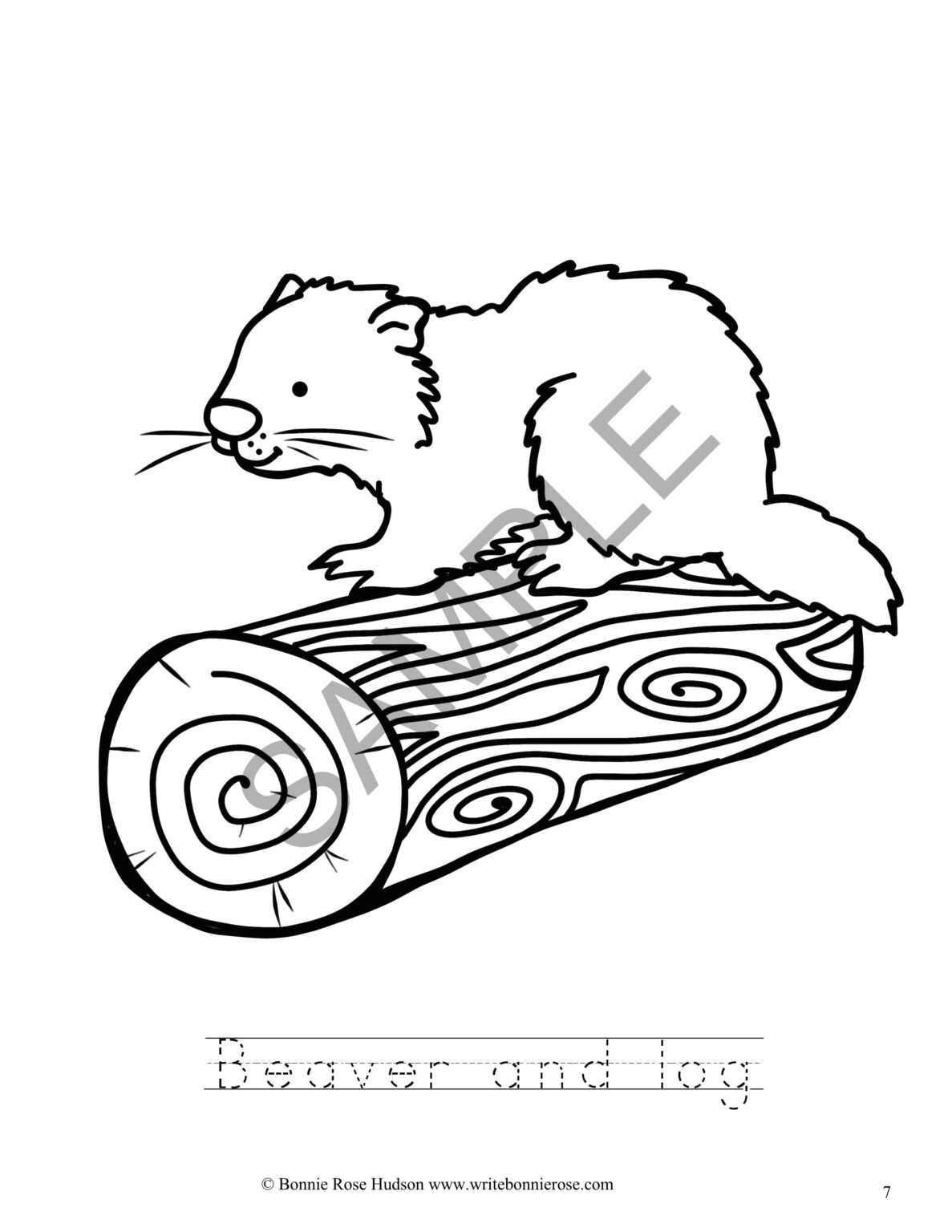 Life in the Thirteen U.S. Colonies Coloring Book-Level A | Made By Teachers