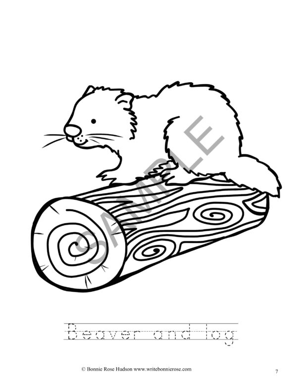 Life in the Thirteen U.S. Colonies Coloring Book-Level A | Made By Teachers